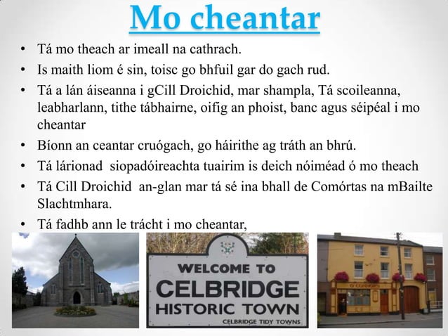 Irish project -me fein agus mo shaol | PPTX