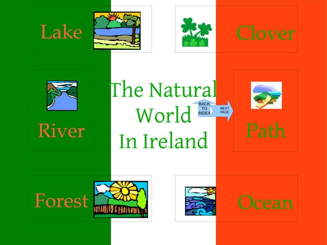 Irish vocabulary and culture | PPT
