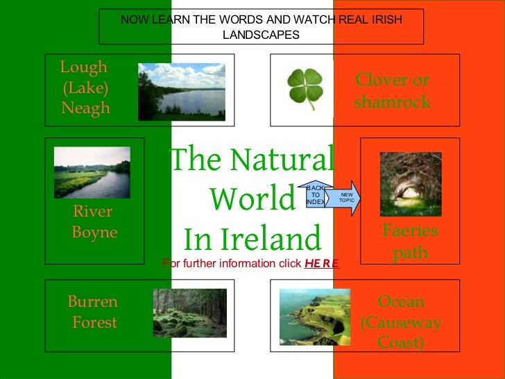 Irish vocabulary and culture