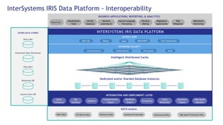 Iris Data Platform Architecture slide | PDF