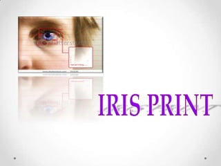 Iris print | PPT