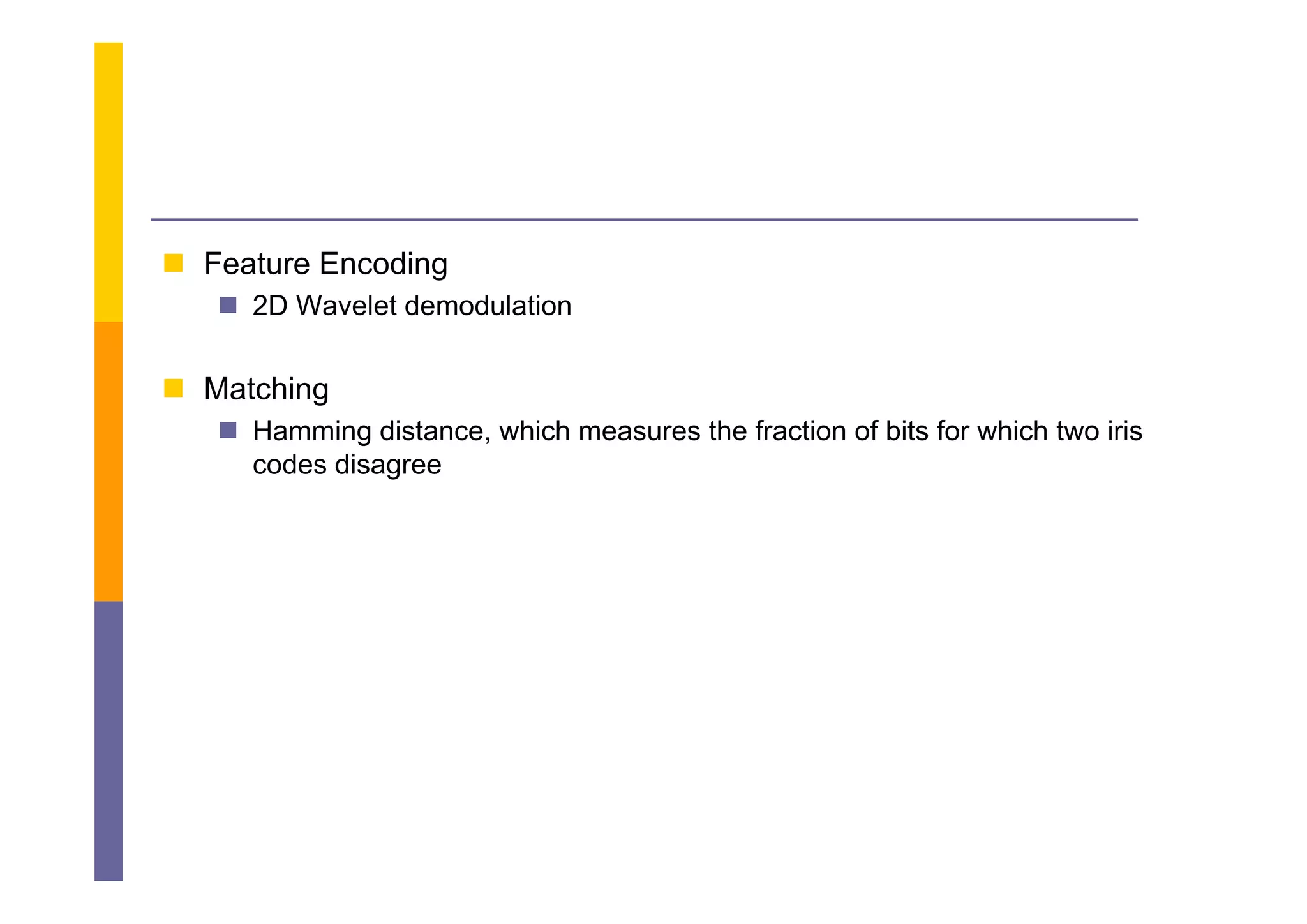 Iris Recognition | PDF