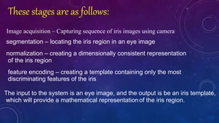Iris recognition | PPTX