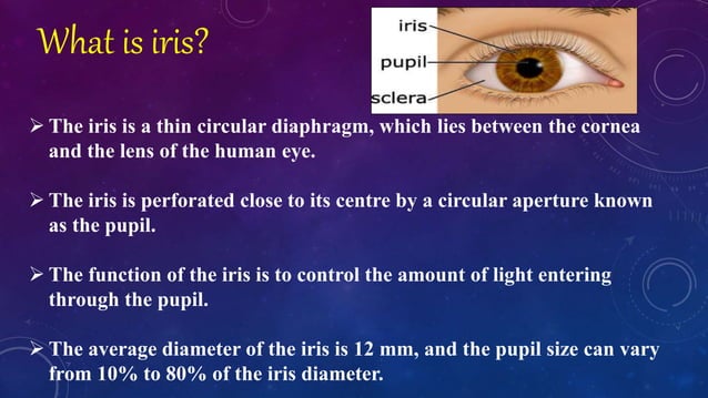 Iris recognition | PPTX | Consumer Electronics | Technology & Computing