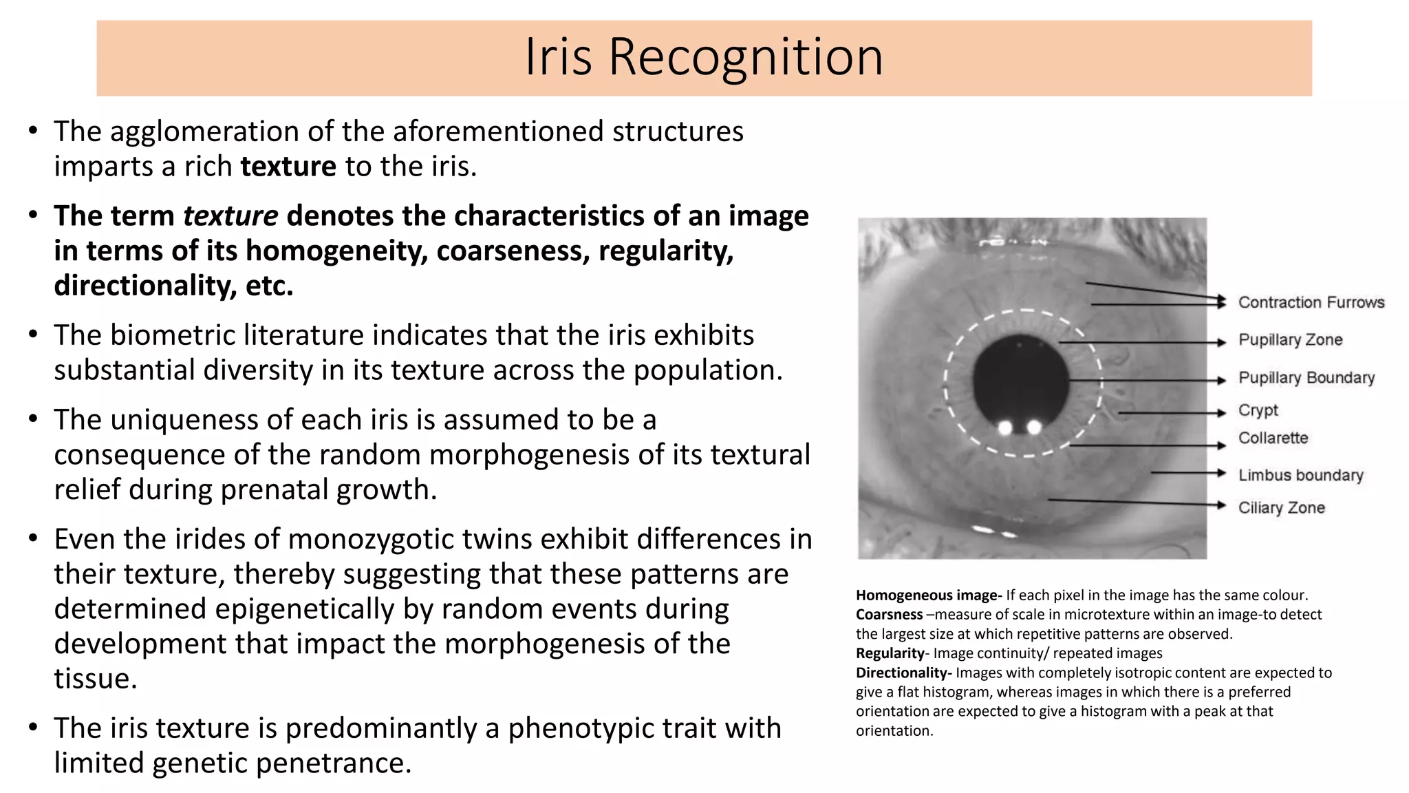 Iris Recognition .pptx