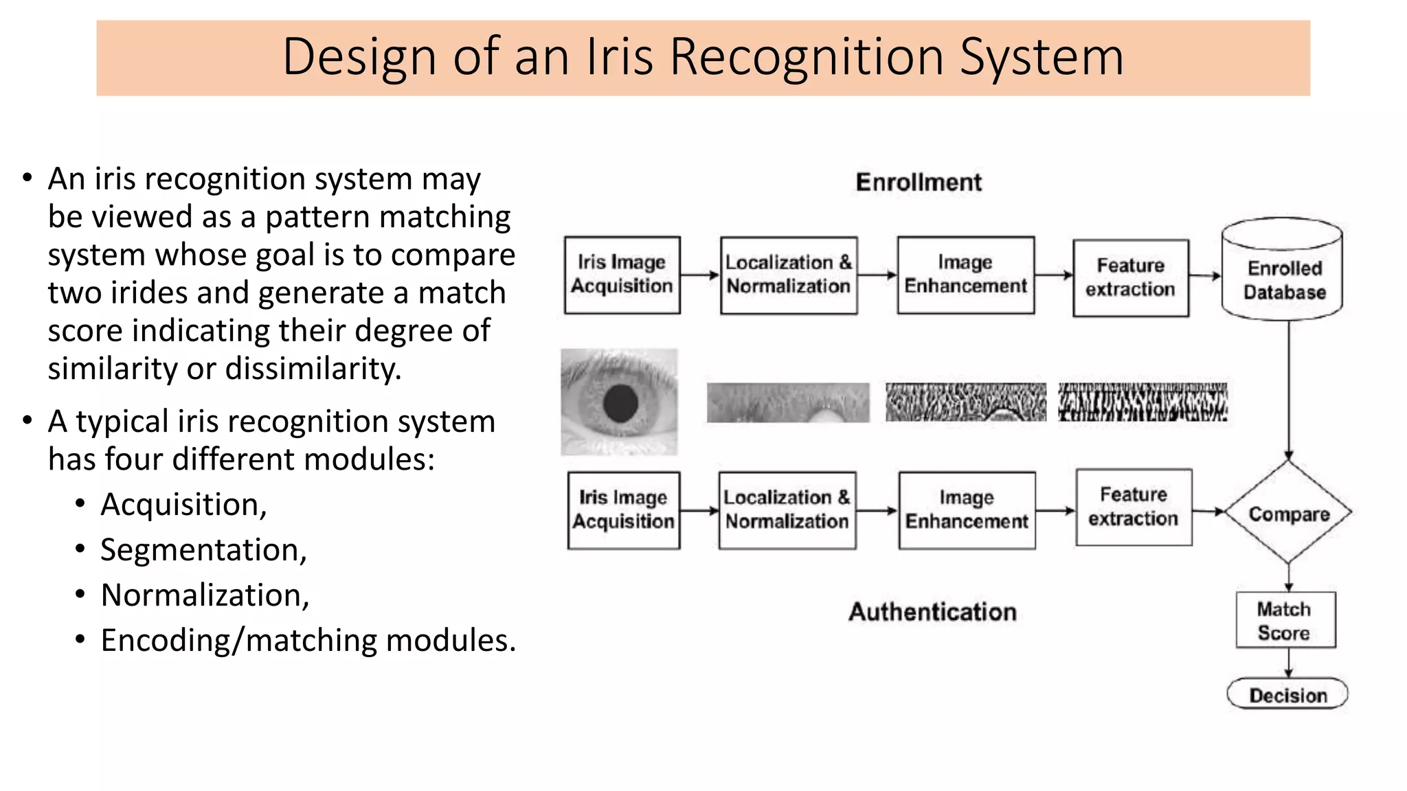 Iris Recognition .pptx