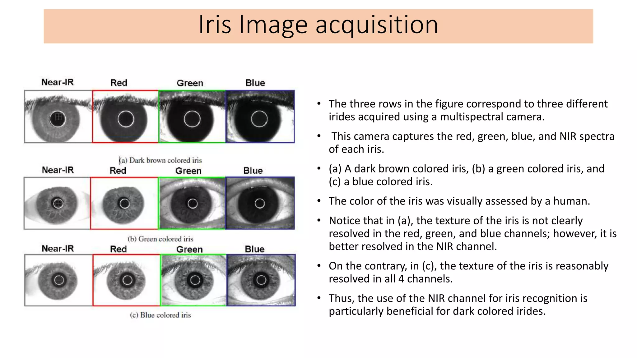 Iris Recognition .pptx