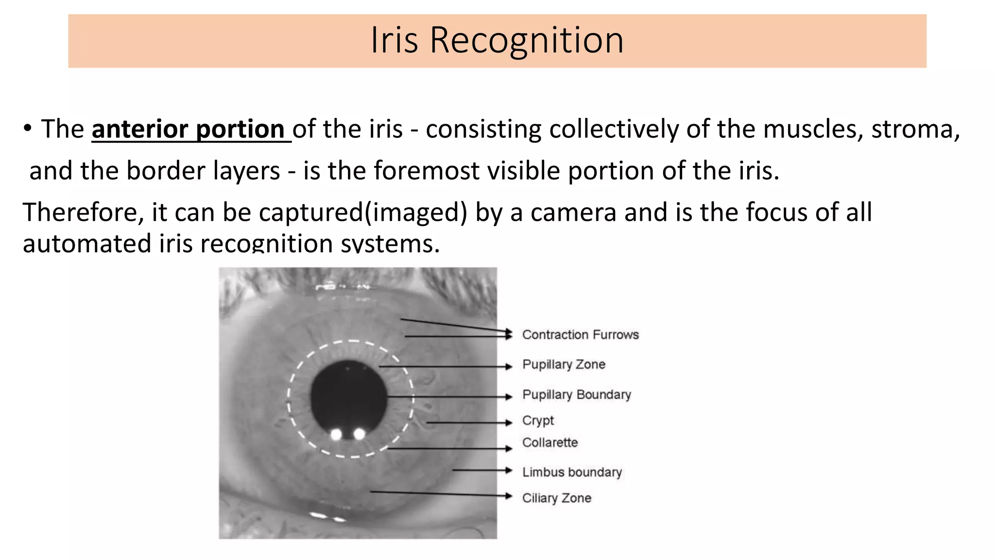 Iris Recognition .pptx