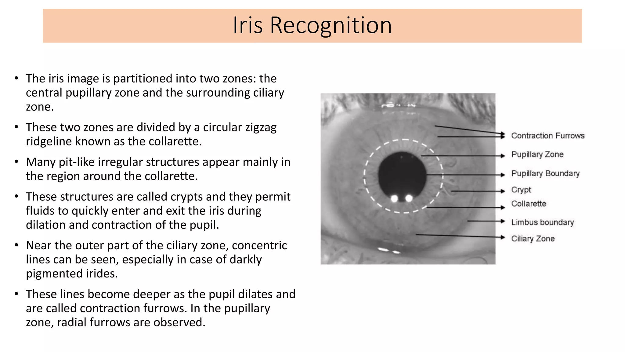 Iris Recognition .pptx