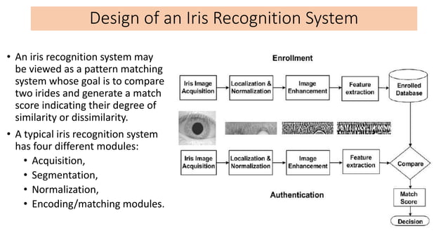 Iris Recognition .pptx