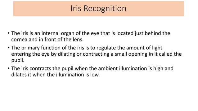 Iris Recognition .pptx
