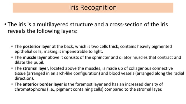 Iris Recognition .pptx