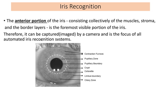 Iris Recognition .pptx