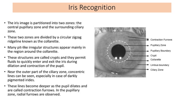 Iris Recognition .pptx