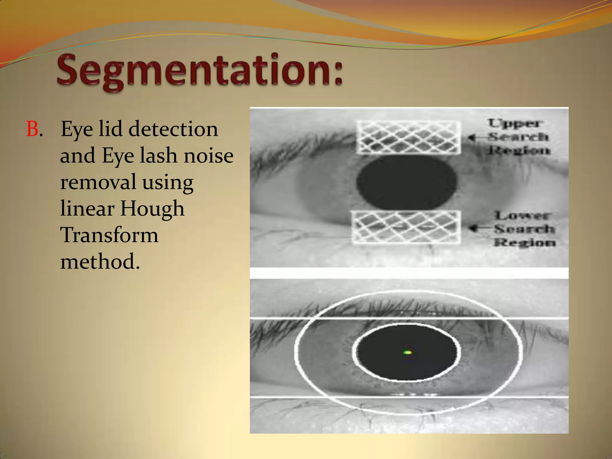 Iris recognition | PPT