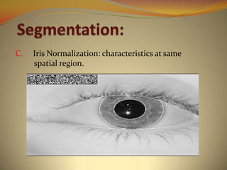 Iris recognition | PPT