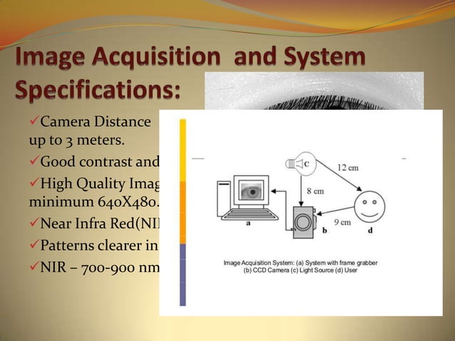 Iris recognition | PPT