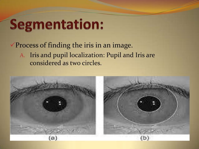 Iris recognition | PPT