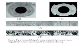 Iris recognition | PPTX