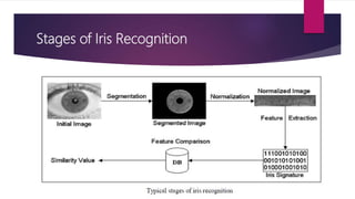 Iris recognition | PPTX