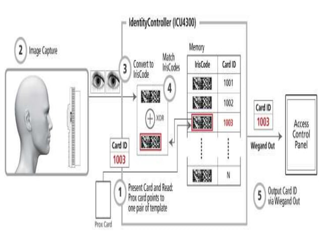 IRIS RECOGNITION | PPT