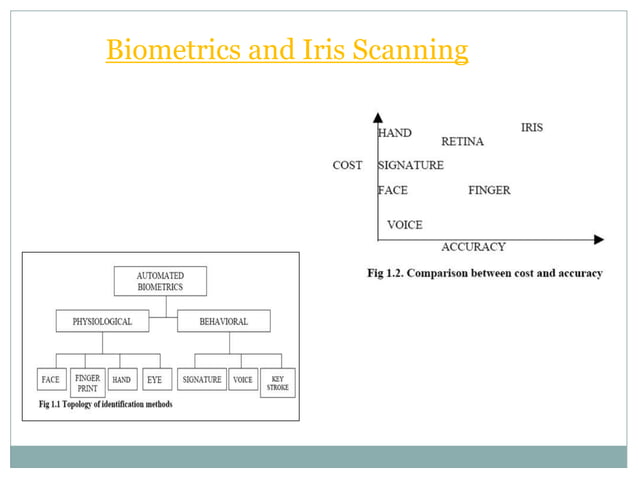 IRIS RECOGNITION | PPT