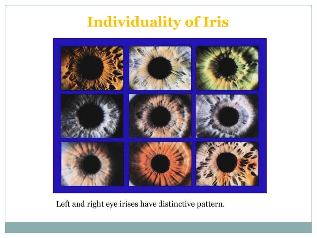 IRIS RECOGNITION | PPT