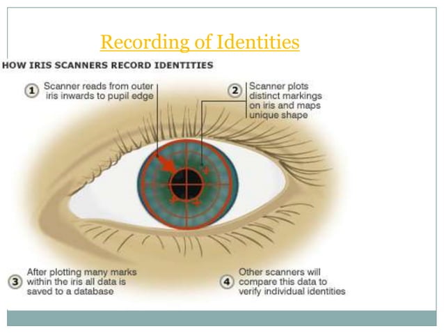 Iris recognition seminar | PPTX