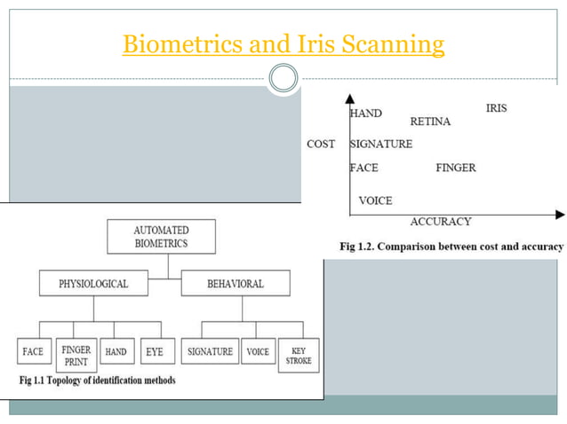 Iris recognition seminar | PPTX