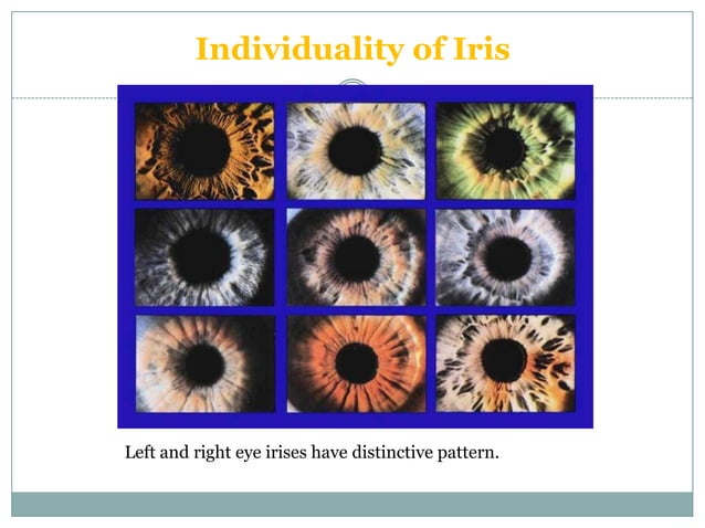 Iris recognition seminar | PPTX