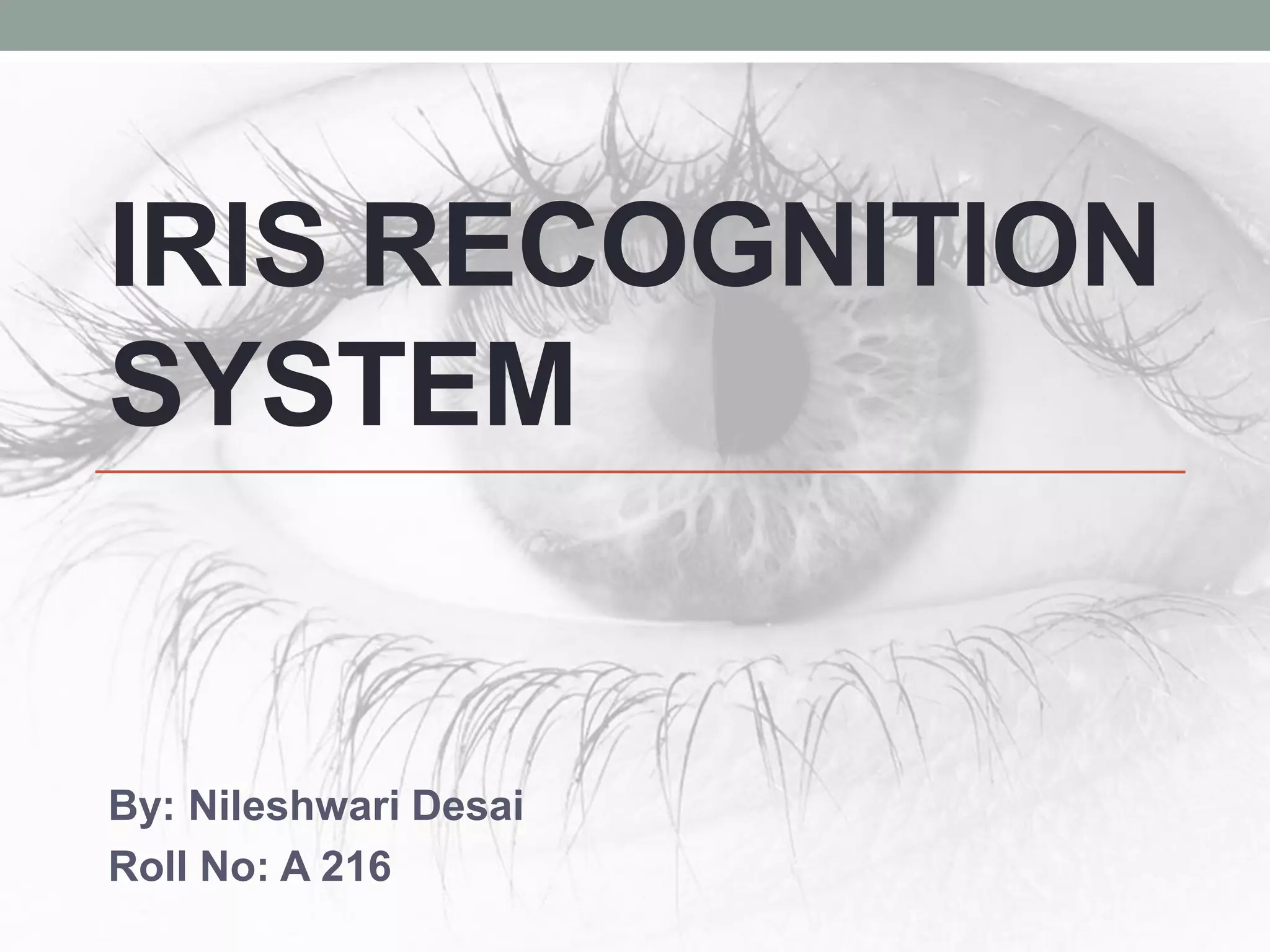 Iris recognition system | PDF