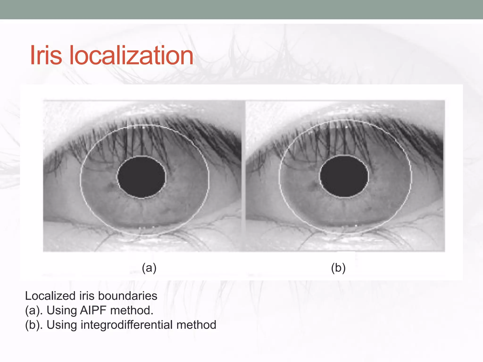 Iris recognition system | PDF