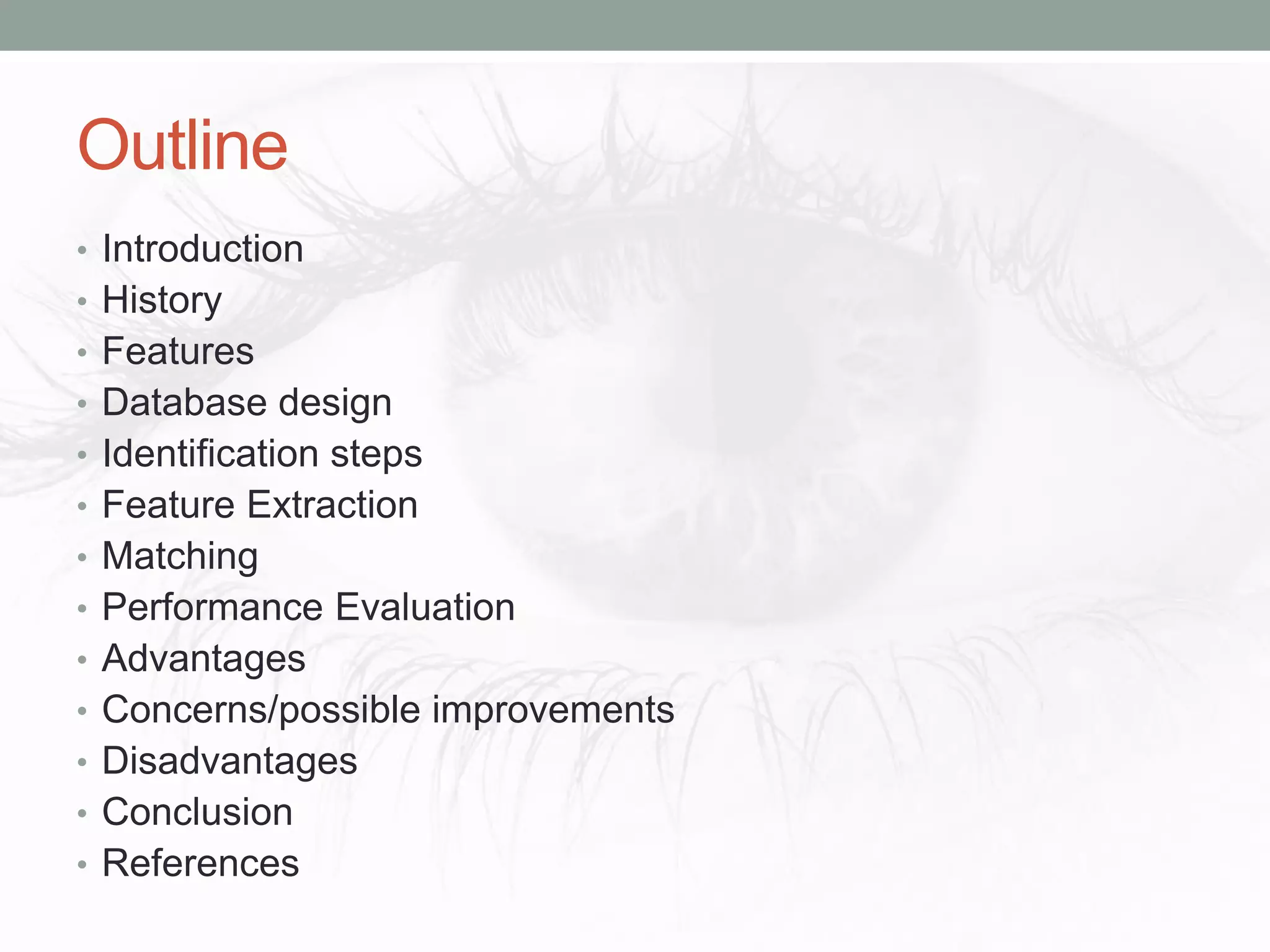 Iris Recognition System Pdf