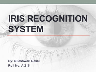 Iris recognition system | PDF