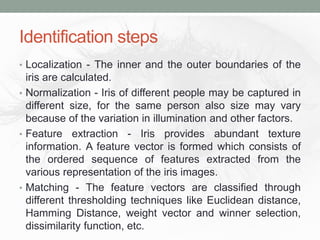 Iris recognition system | PDF