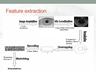 Iris recognition system | PDF