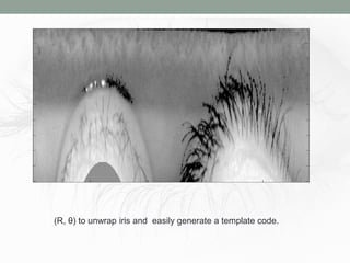 Iris recognition system | PDF