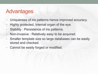 Iris recognition system | PDF