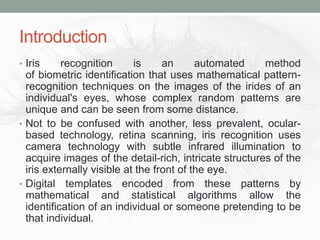 Iris recognition system | PDF