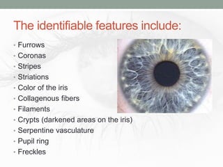Iris recognition system | PDF