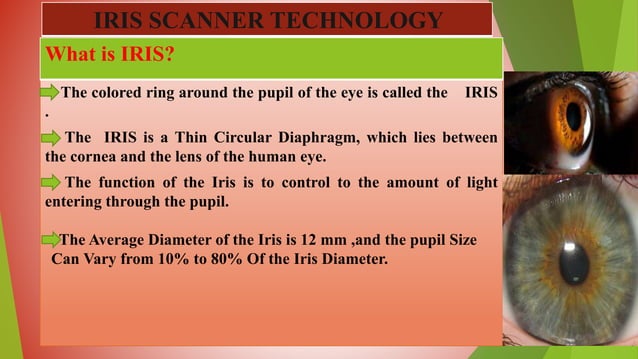 Iris scanner technology | PPTX | Consumer Electronics | Technology & Computing