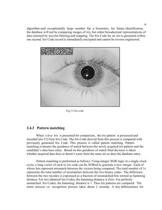Iris scanning | PDF