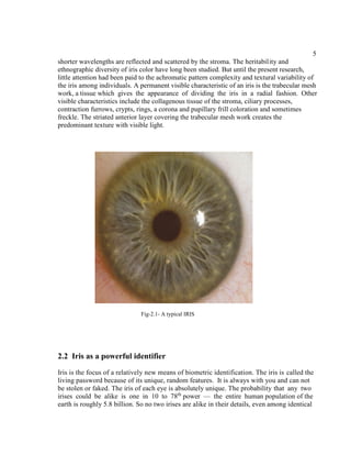 Iris scanning | PDF