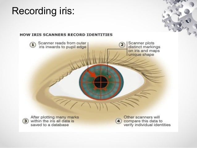 Iris scan.ppt 1