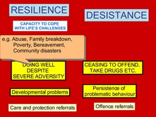Accentuating the Positive: Resilience and desistance approaches ...