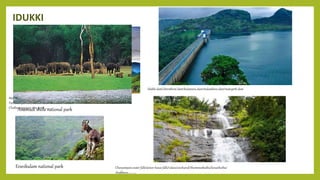 KERALA GOG'S OWN COUNTRY- IMPORTANT PLACES TO VISIT | PPTX