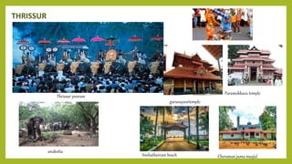 KERALA GOG'S OWN COUNTRY- IMPORTANT PLACES TO VISIT | PPTX