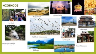 KERALA GOG'S OWN COUNTRY- IMPORTANT PLACES TO VISIT | PPTX