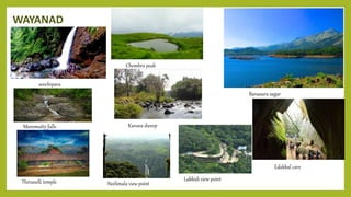 KERALA GOG'S OWN COUNTRY- IMPORTANT PLACES TO VISIT | PPTX