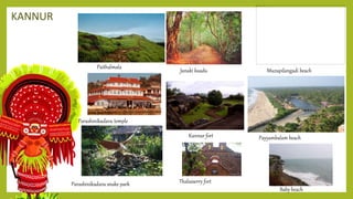 KERALA GOG'S OWN COUNTRY- IMPORTANT PLACES TO VISIT | PPTX